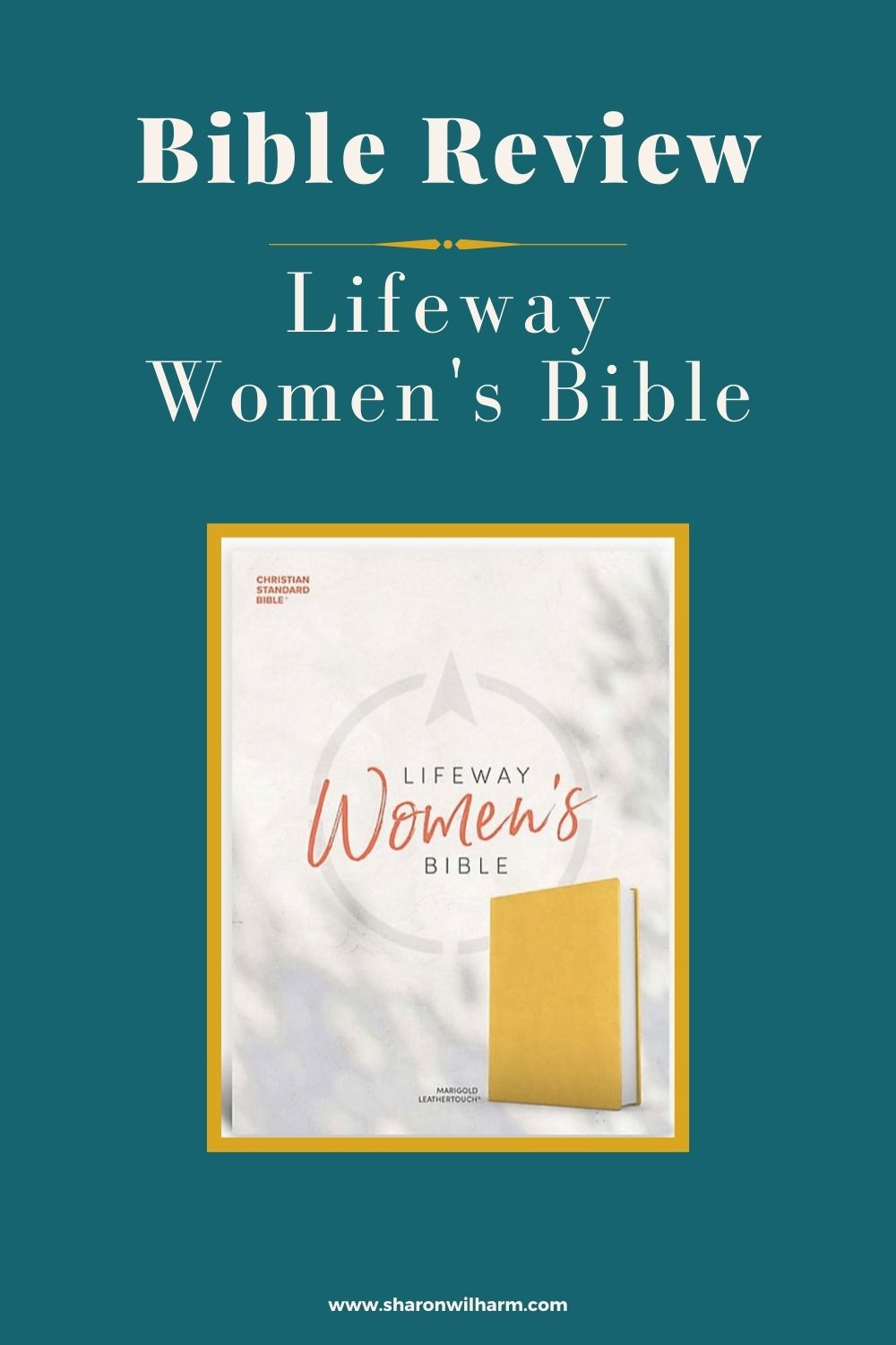 Lifeway Women S Bible Review